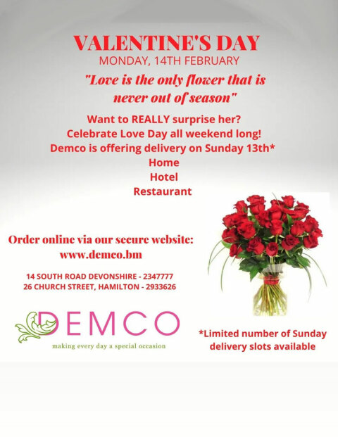 DEMCO Valentine's Day Creations - Bermuda Promotions