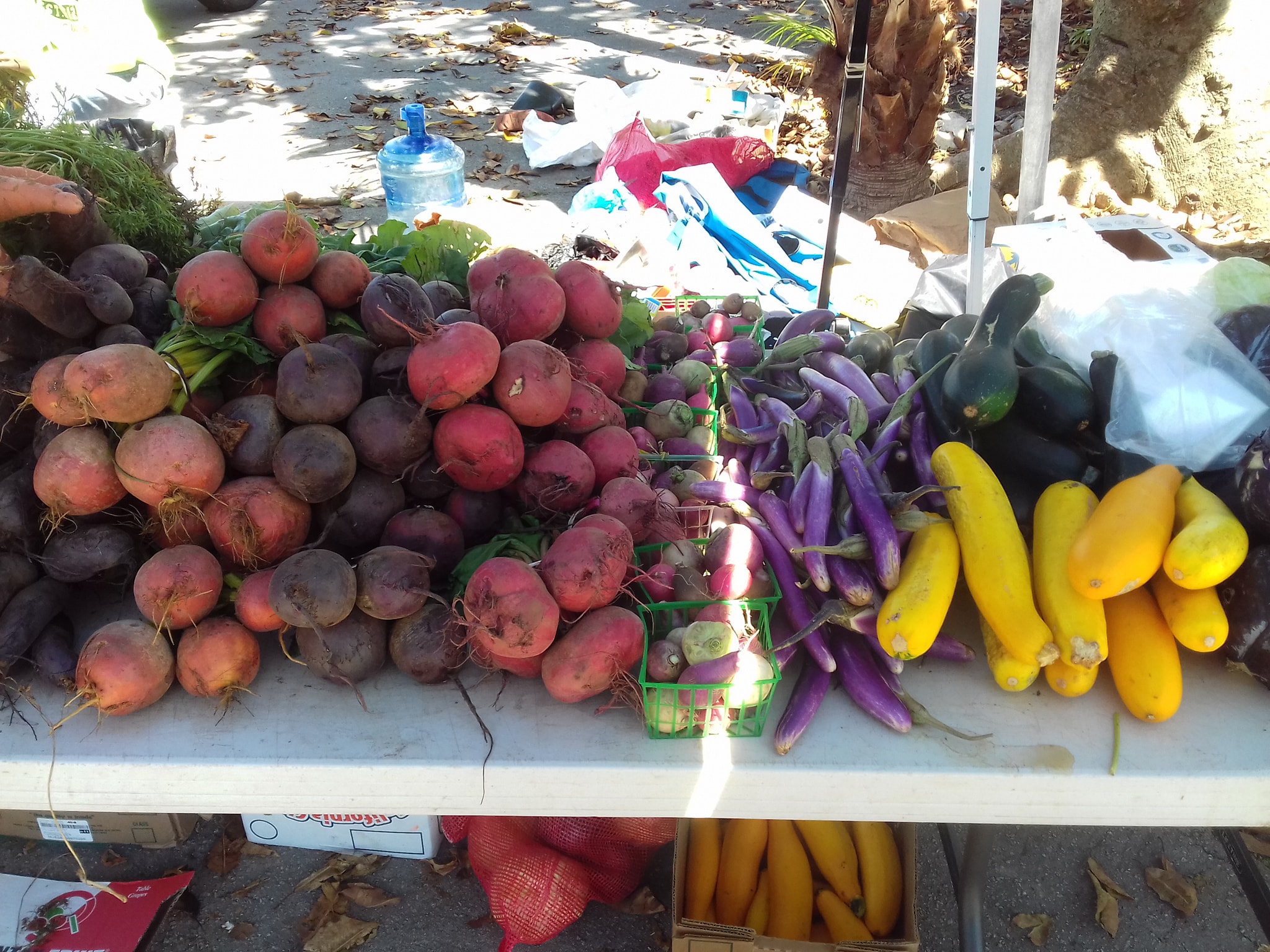 Javaughn Dill Fresh Vegetables - Bermuda Businesses Directory