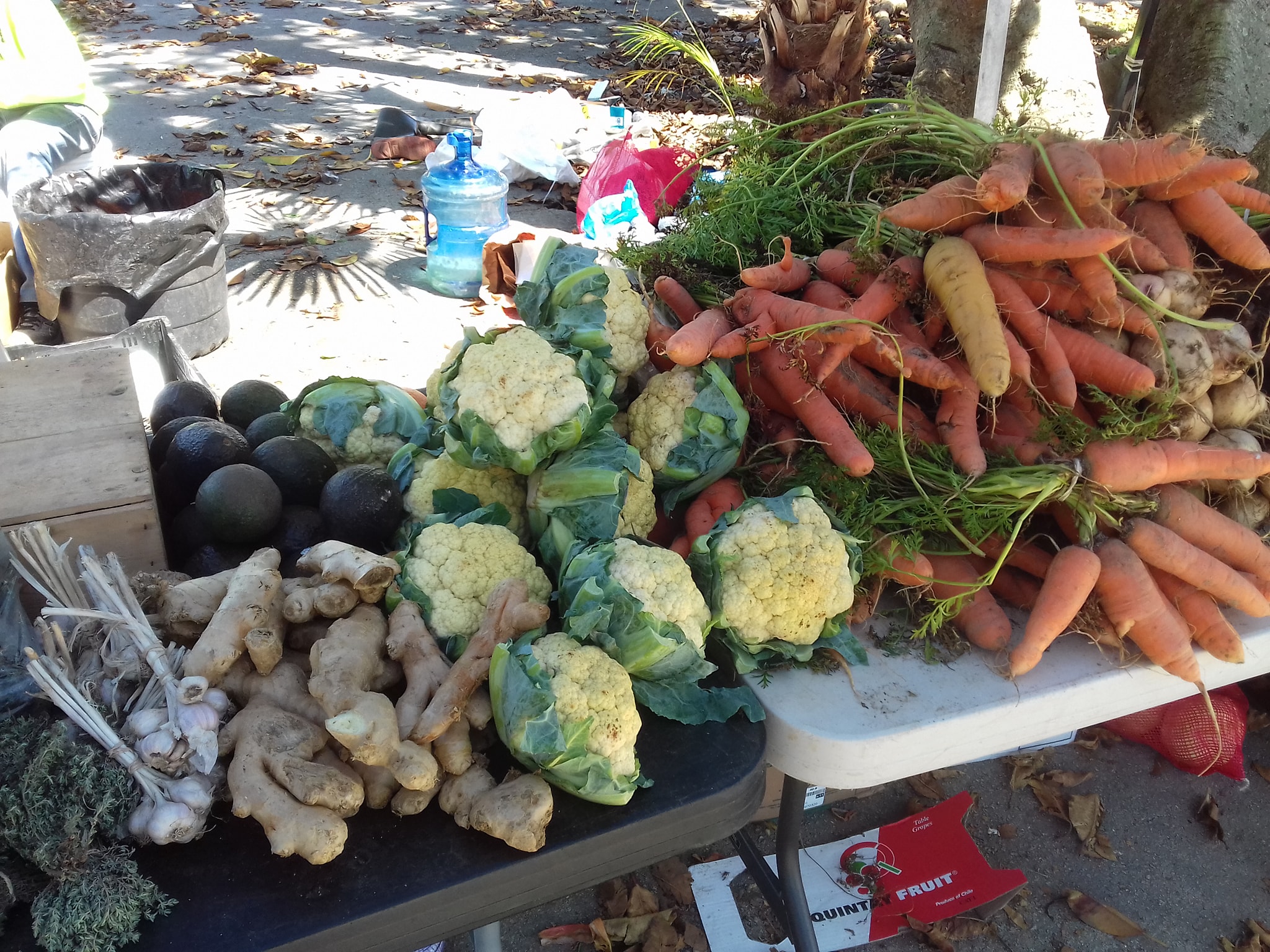 Javaughn Dill Fresh Vegetables - Bermuda Businesses Directory