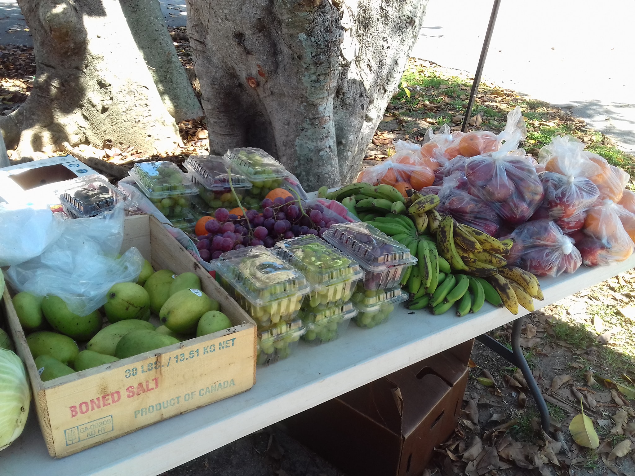 Javaughn Dill Fresh Vegetables - Bermuda Businesses Directory