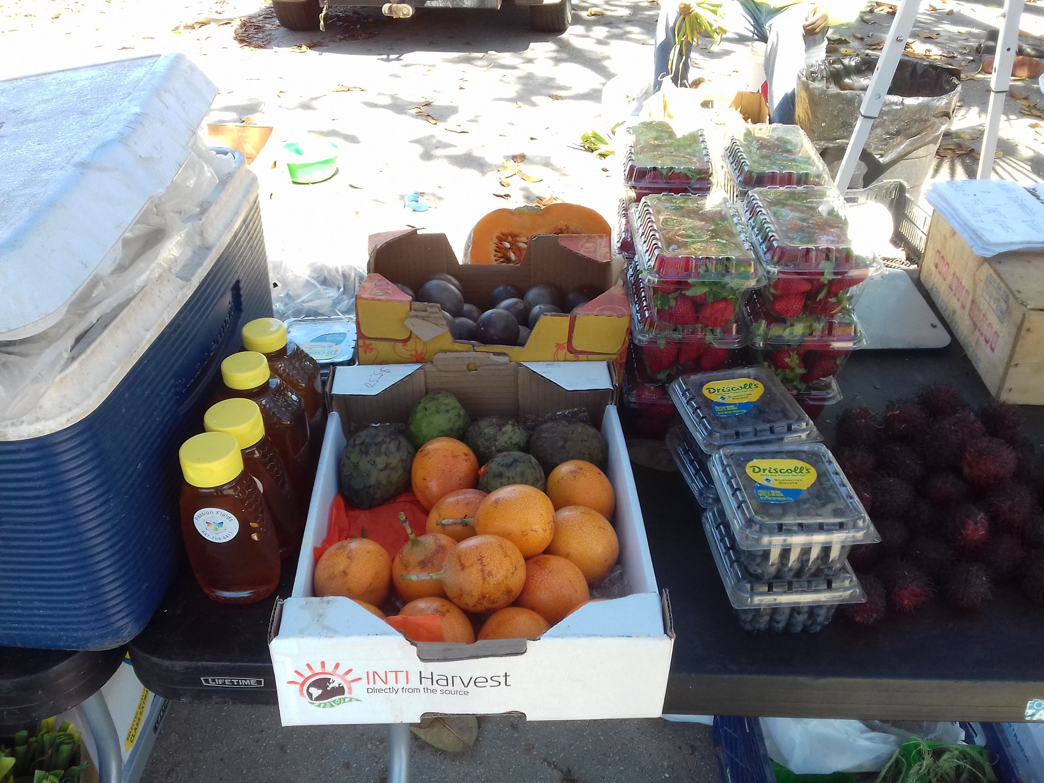 Javaughn Dill Fresh Vegetables - Bermuda Businesses Directory